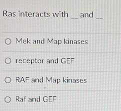 Solved Ras interacts with __ and Mek and Map kinases | Chegg.com