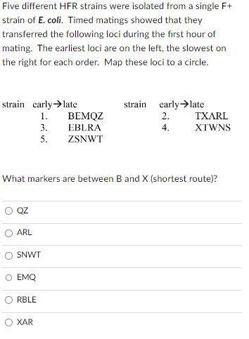 Solved Five different HFR strains were isolated from a | Chegg.com
