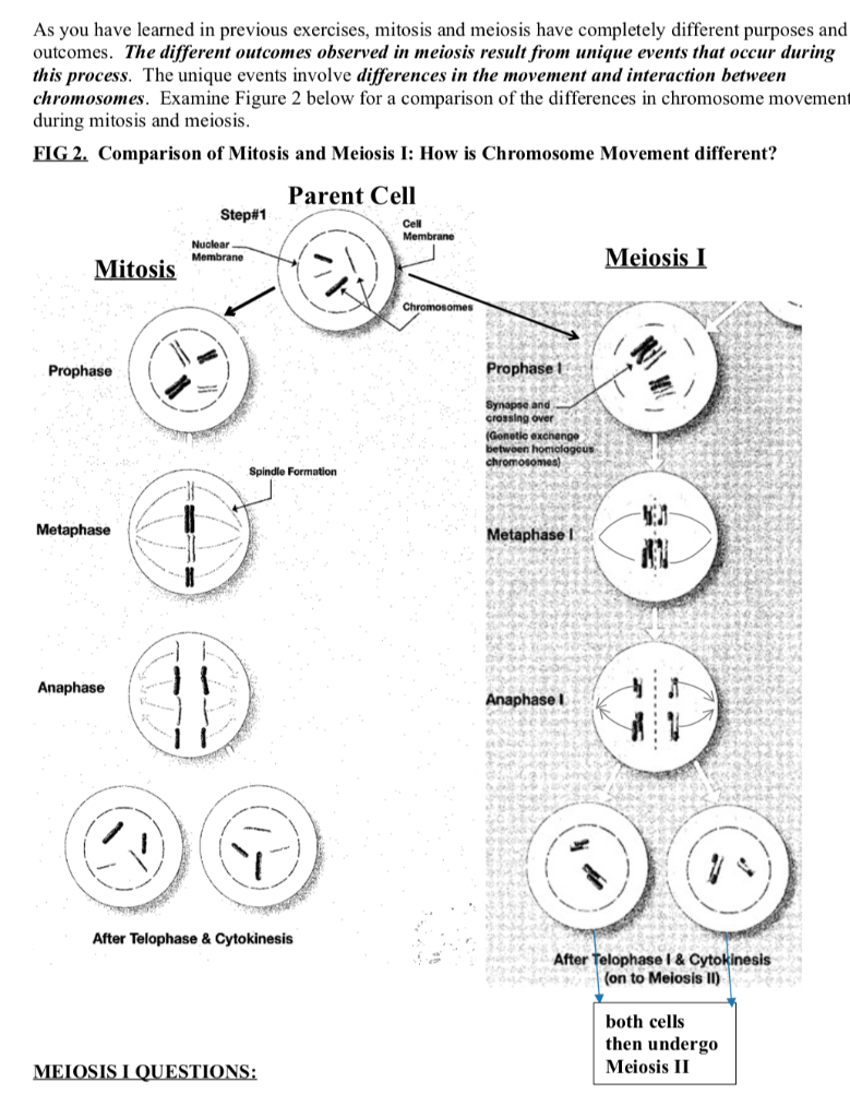 Solved I need some help with those. My questions for | Chegg.com