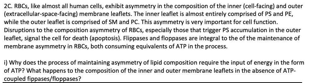 Solved 2C. RBCs, like almost all human cells, exhibit | Chegg.com