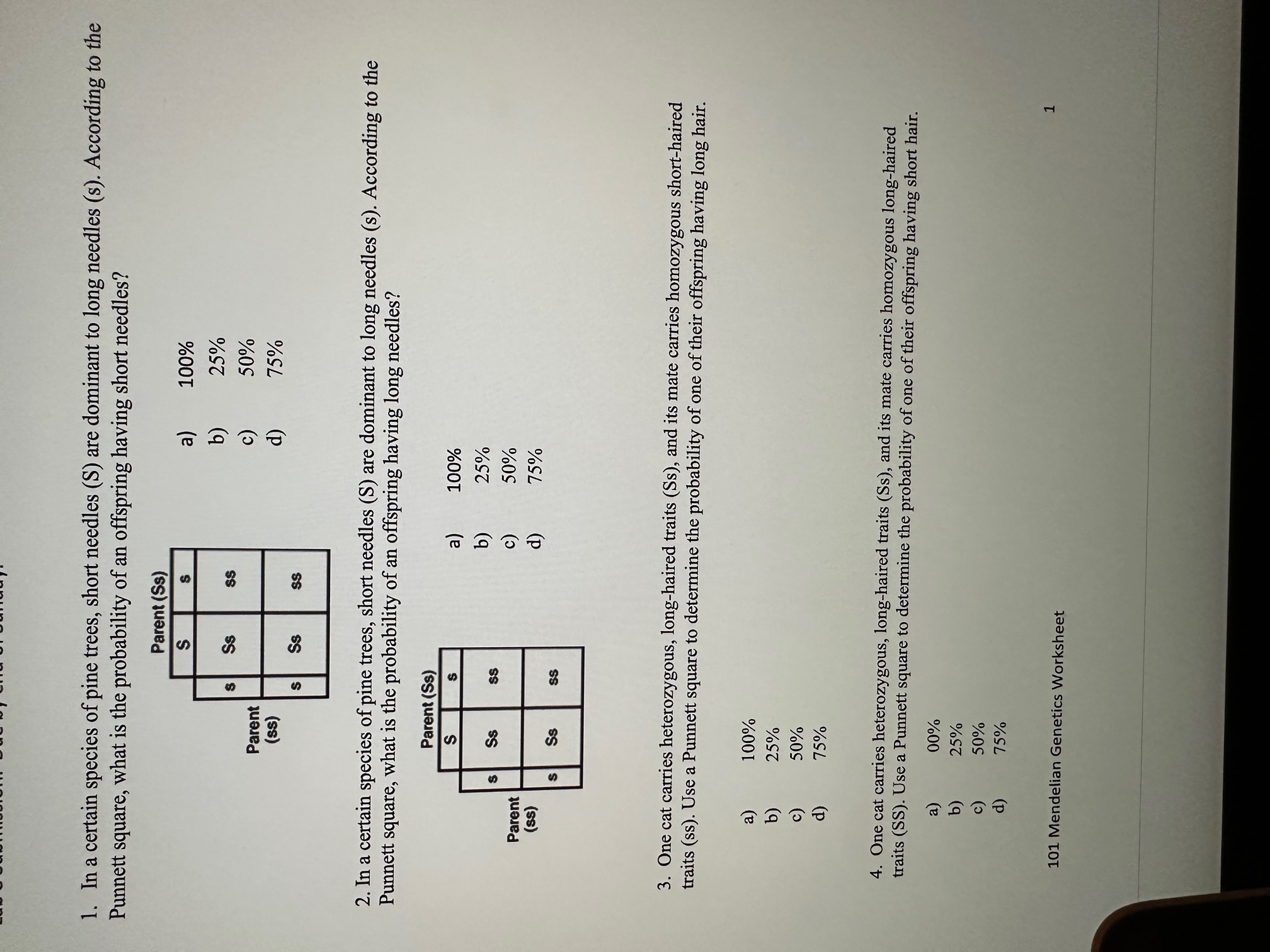 1. In a certain species of pine trees, short needles | Chegg.com