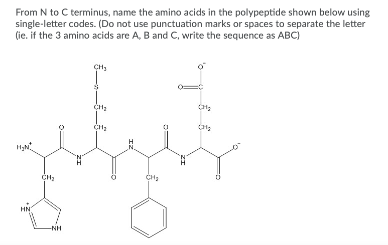Solved From N to C terminus, name the amino acids in the | Chegg.com