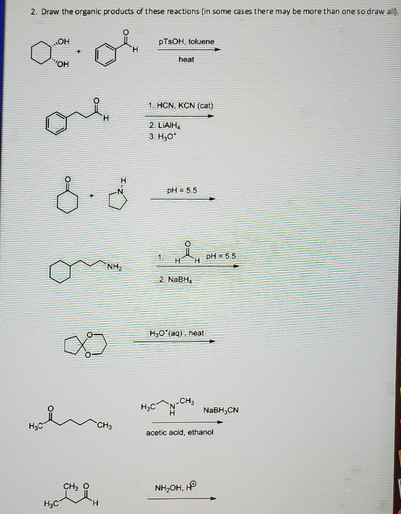 Solved 2. Draw the organic products of these reactions (in | Chegg.com
