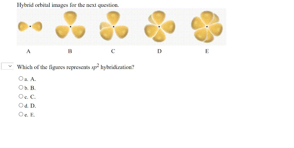 Solved Hybrid orbital images for the next question. A B C D | Chegg.com