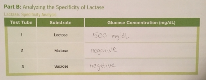 Solved Based on your results from Part B, is lactase capable | Chegg.com