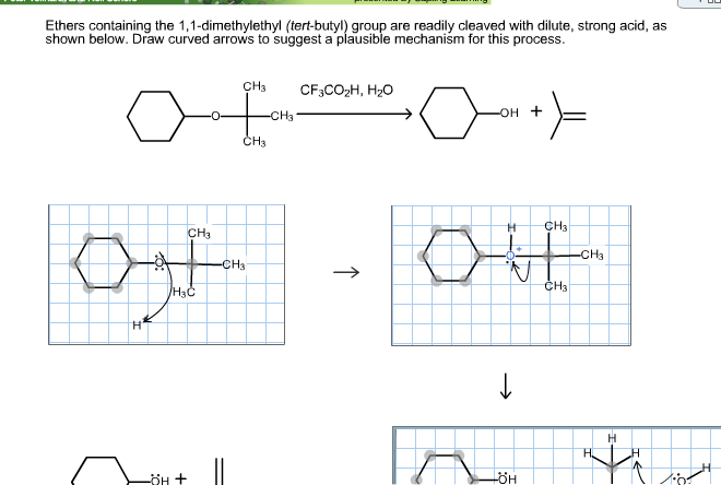 Solved Ethers containing the 1,1-dimethylethyl (tert-butyl) | Chegg.com