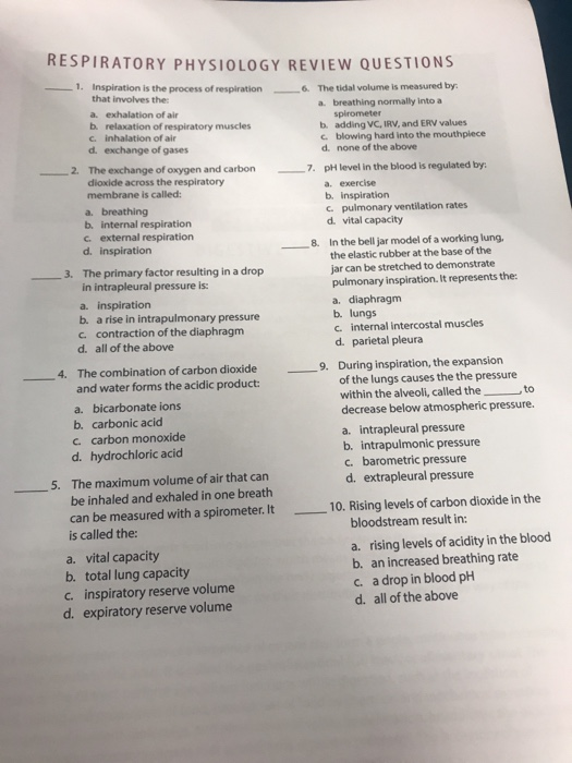 Solved RESPIRATORY PHYSIOLOGY REVIEW QUESTIONS of | Chegg.com