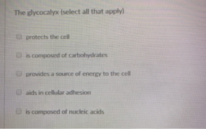 Solved The glycocalyx (select all that apply) protects the | Chegg.com