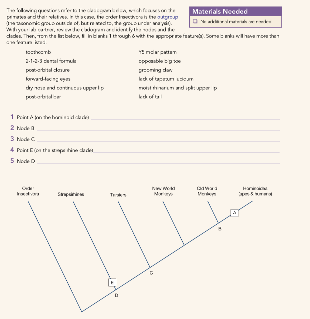Solved The following questions refer to the cladogram below, | Chegg.com
