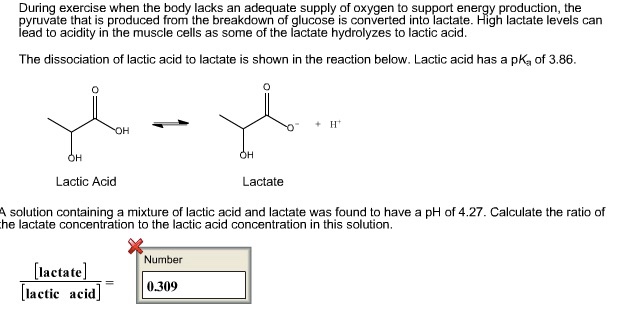 Solved During exercise when the body lacks an adequate | Chegg.com