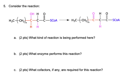 Solved 5. Consider the reaction: a. (2 pts) What kind of | Chegg.com