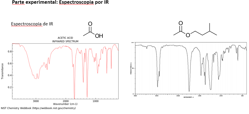 Solved table for the synthesis of isoamyl | Chegg.com