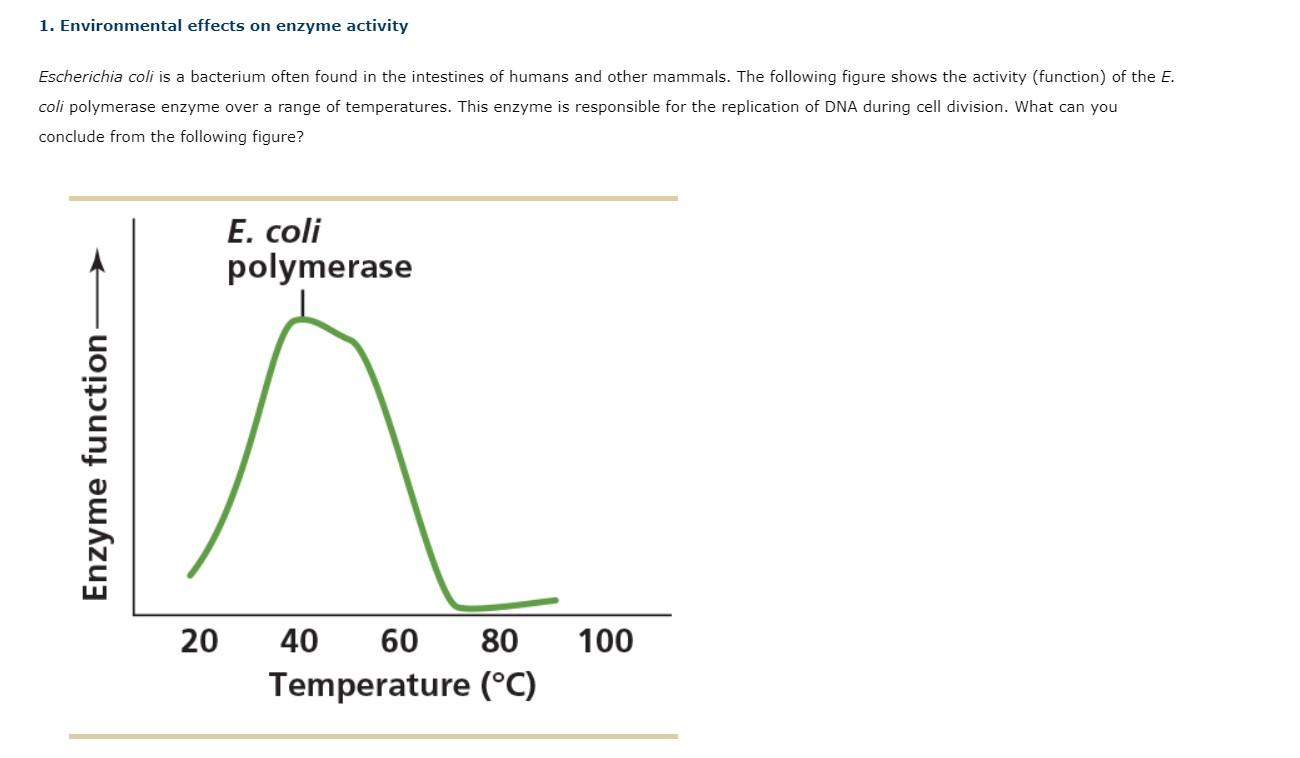Solved 1. Environmental effects on enzyme activity | Chegg.com