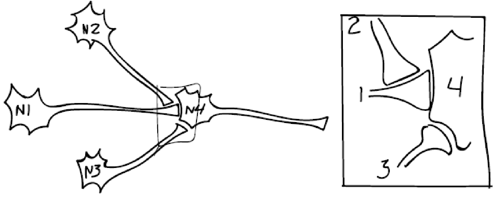 CL: Temporal & Spatial Summation and Facilitation Use | Chegg.com