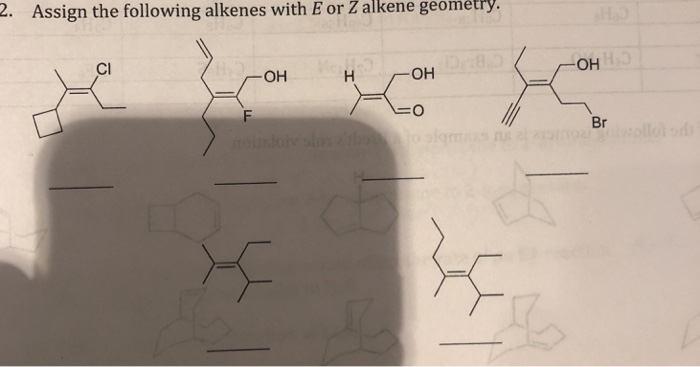 Solved Z alkene geométry. 2. Assign the following alkenes | Chegg.com