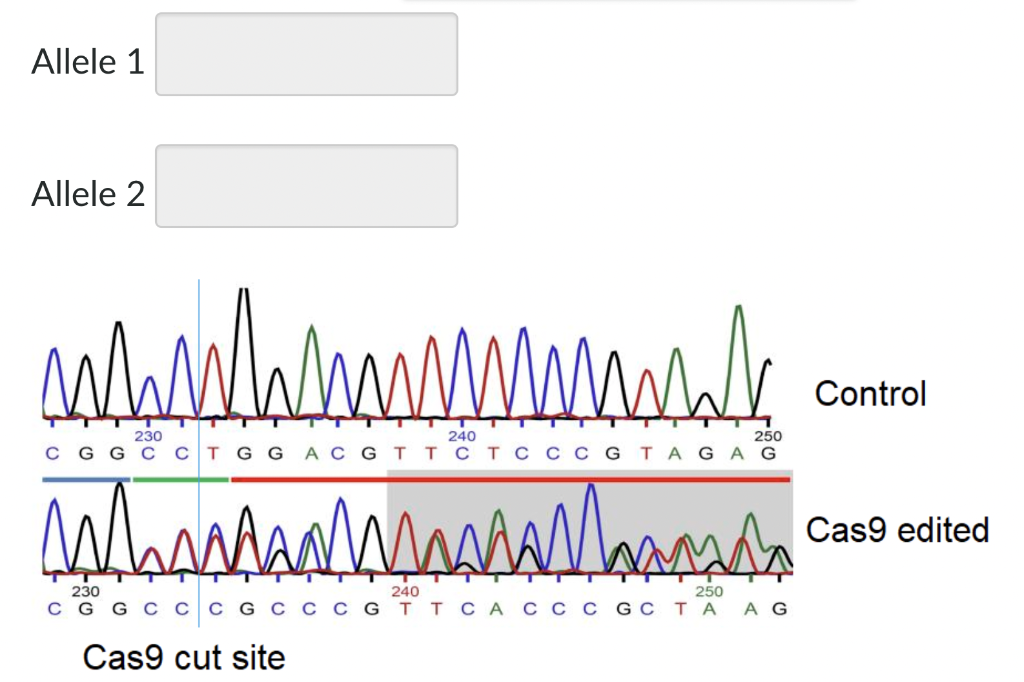 Solved What type of mutations have occurred in the Cas9 | Chegg.com