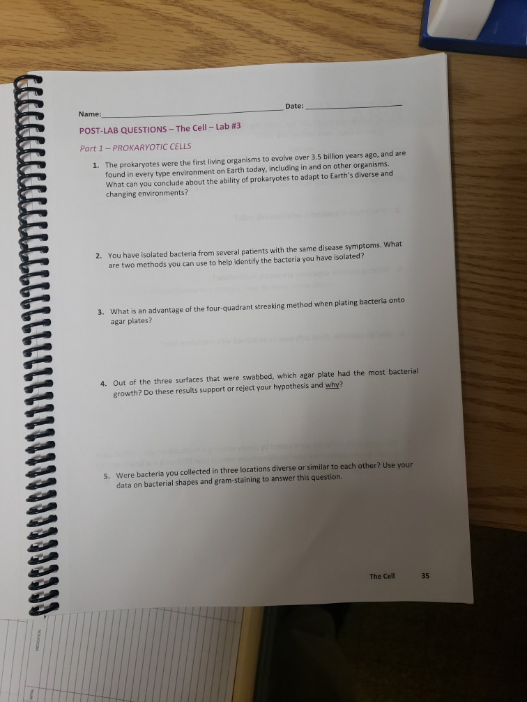 Solved THE CELL LAB 3 Name: Section: PRE-LAB QUESTIONS-The | Chegg.com