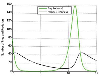 Solved Below is a graph of a predator/prey relationship. | Chegg.com