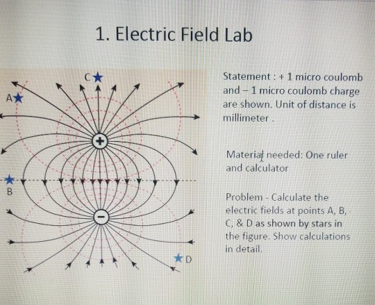 1. Electric Field Lab Statement: + 1 micro coulomb | Chegg.com