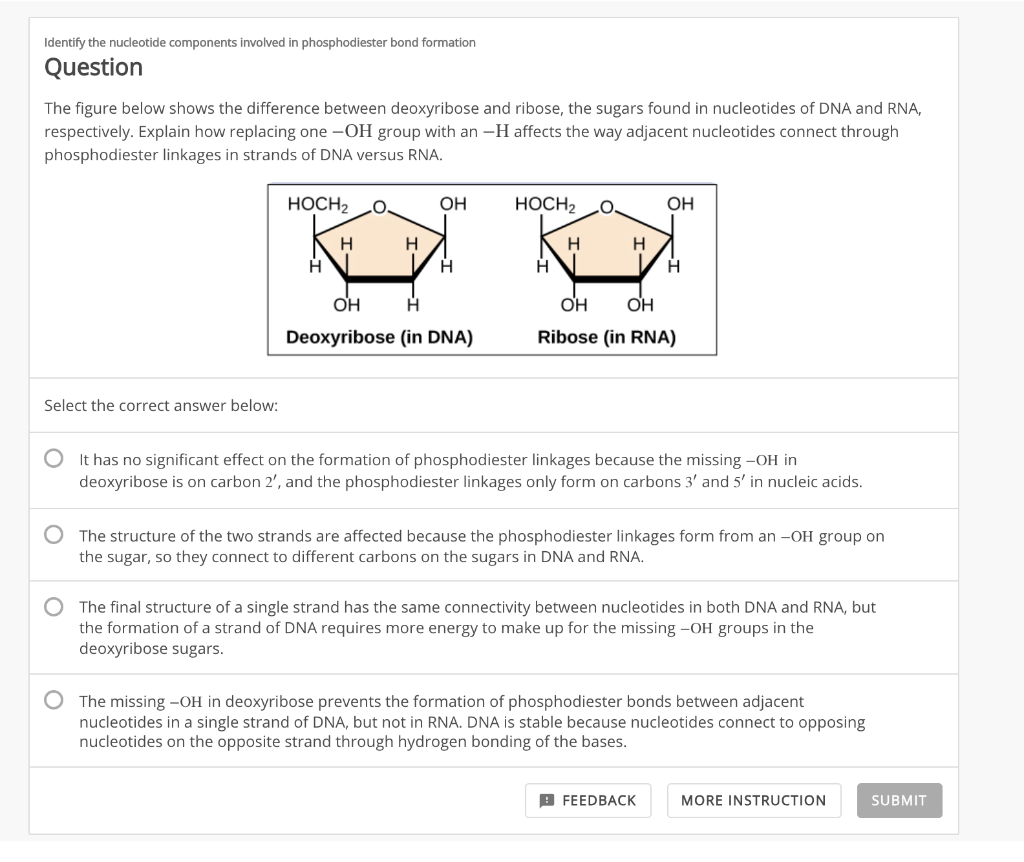 Solved Identify the nucleotide components involved in | Chegg.com