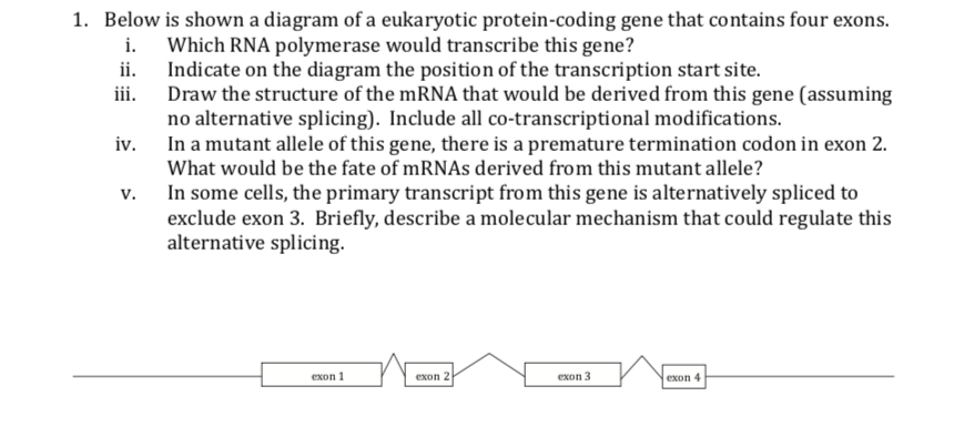 Solved please answer both parts updated: for the second part | Chegg.com