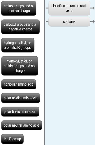 Solved Draw an Amino Acid Concept Map linking the following | Chegg.com