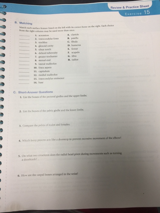 Solved Review &Practice Sheet Exercise Label the surface | Chegg.com