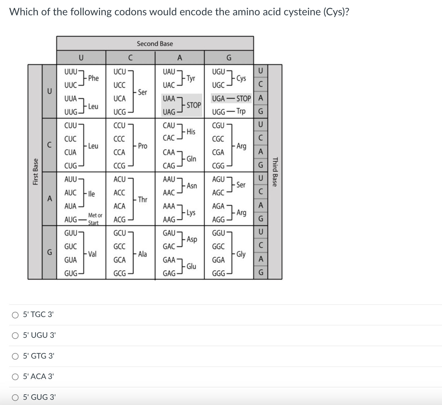 Solved Which of the following codons would encode the amino | Chegg.com
