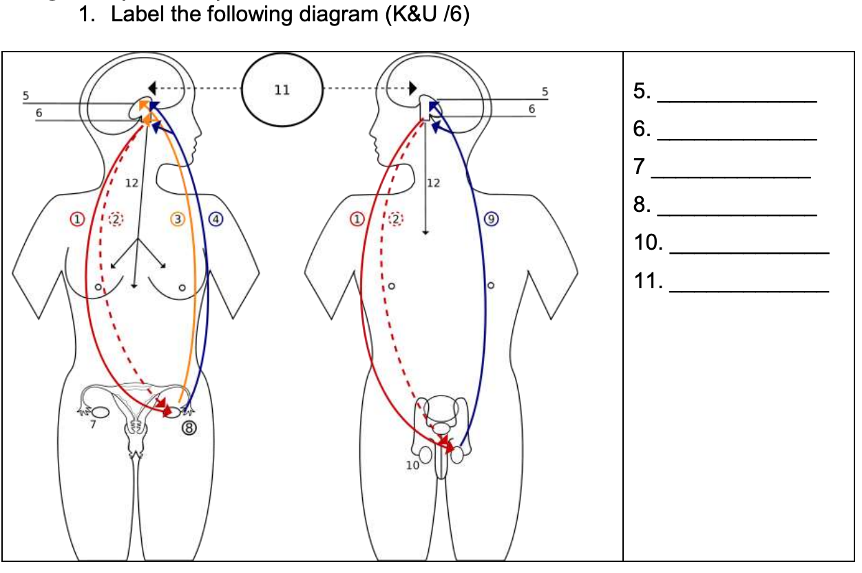 Solved Label the following diagram (K&U /6)Label the | Chegg.com
