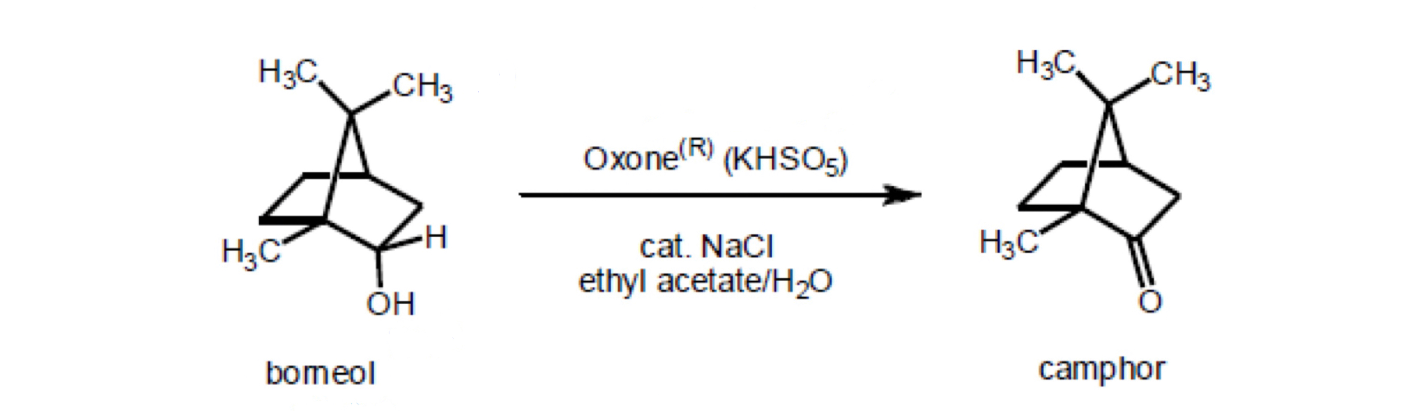 Solved what is the balanced equation for the oxidation of | Chegg.com