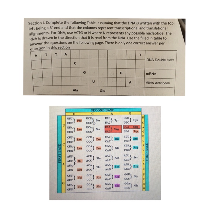 Solved Section I. Complete the following Table, assuming | Chegg.com