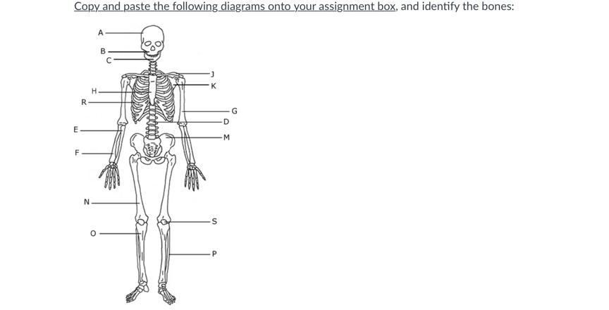 Solved In this lab assignment, we will identify the major | Chegg.com