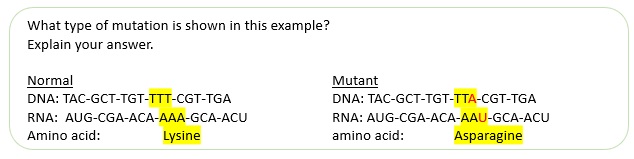 Solved What type of mutation is shown in this | Chegg.com