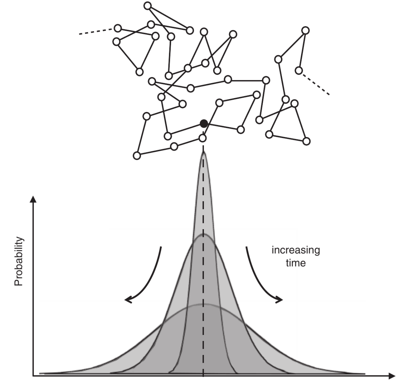 7. Consider a "biased" version of the 1D random walk | Chegg.com