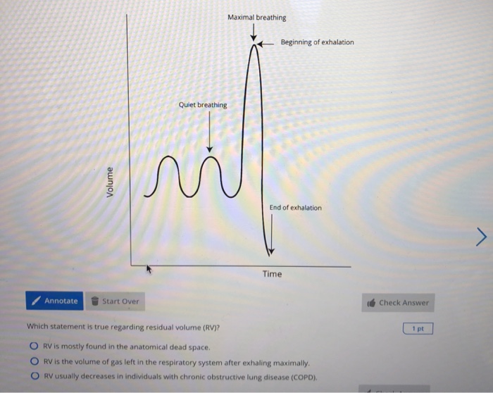 Solved A normal pattern of respiration is illustrated below. | Chegg.com