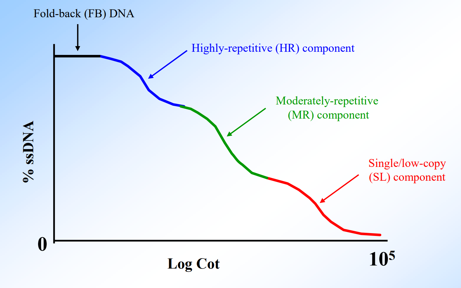 Solved QUESTIONS ABOUT CoT Analysis DNA Renaturation Chegg Solved QUESTIONS ABOUT CoT Analysis DNA Renaturation Chegg