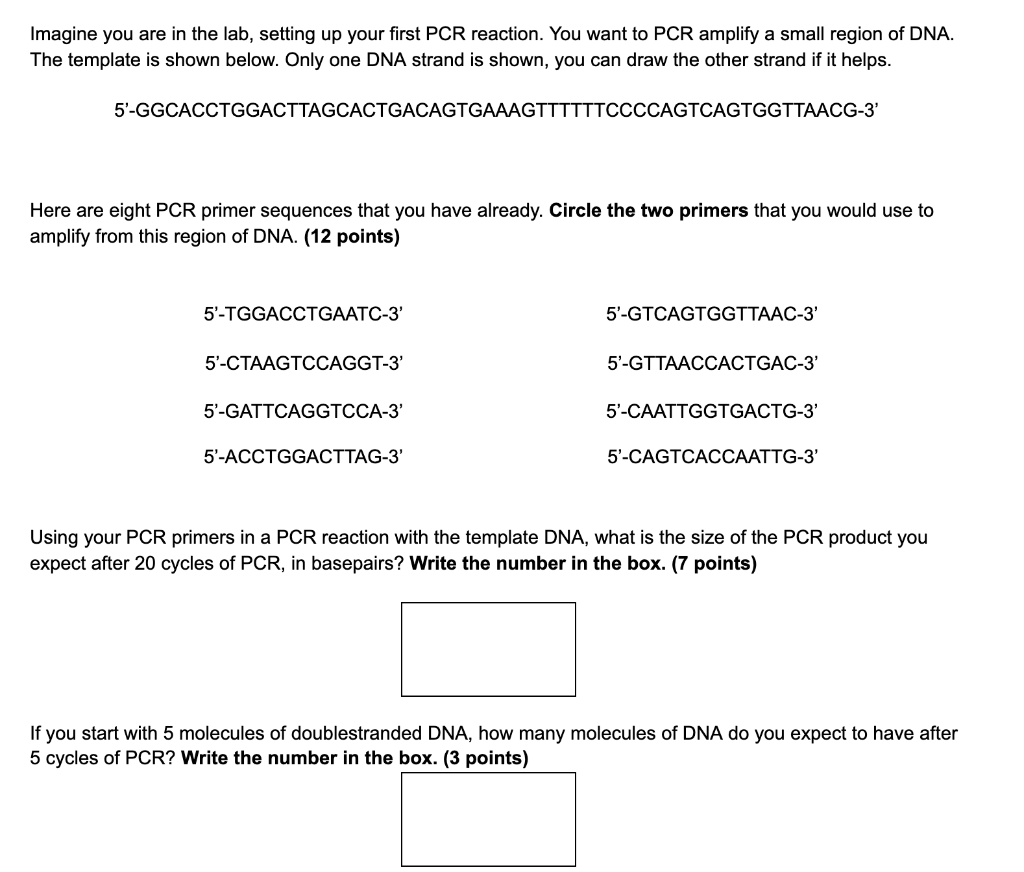 Solved Imagine you are in the lab, setting up your first PCR | Chegg.com
