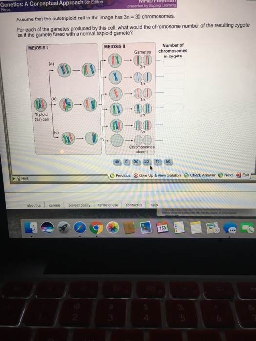 Solved Genetics: A Conceptual Approach en eai Assume that | Chegg.com