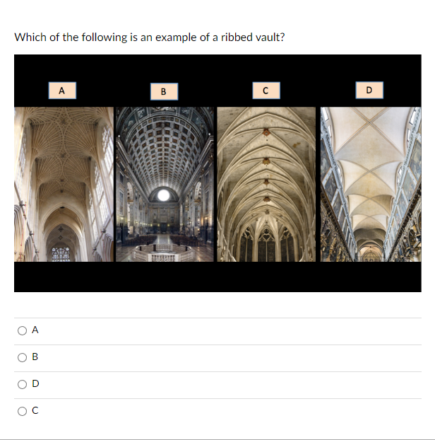 Solved Which of the following is an example of a ribbed | Chegg.com