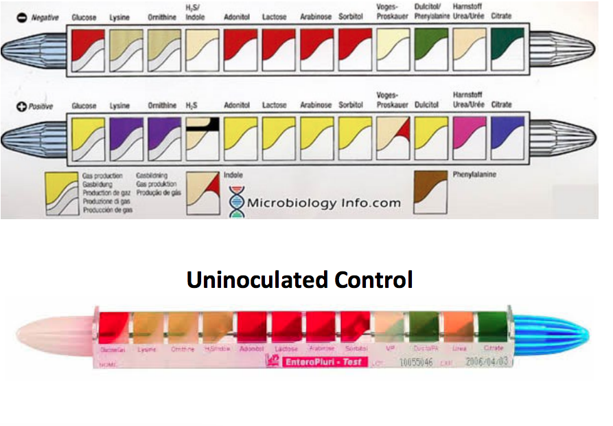 Solved Determine the 5 digit code for each of the 5 unknown | Chegg.com