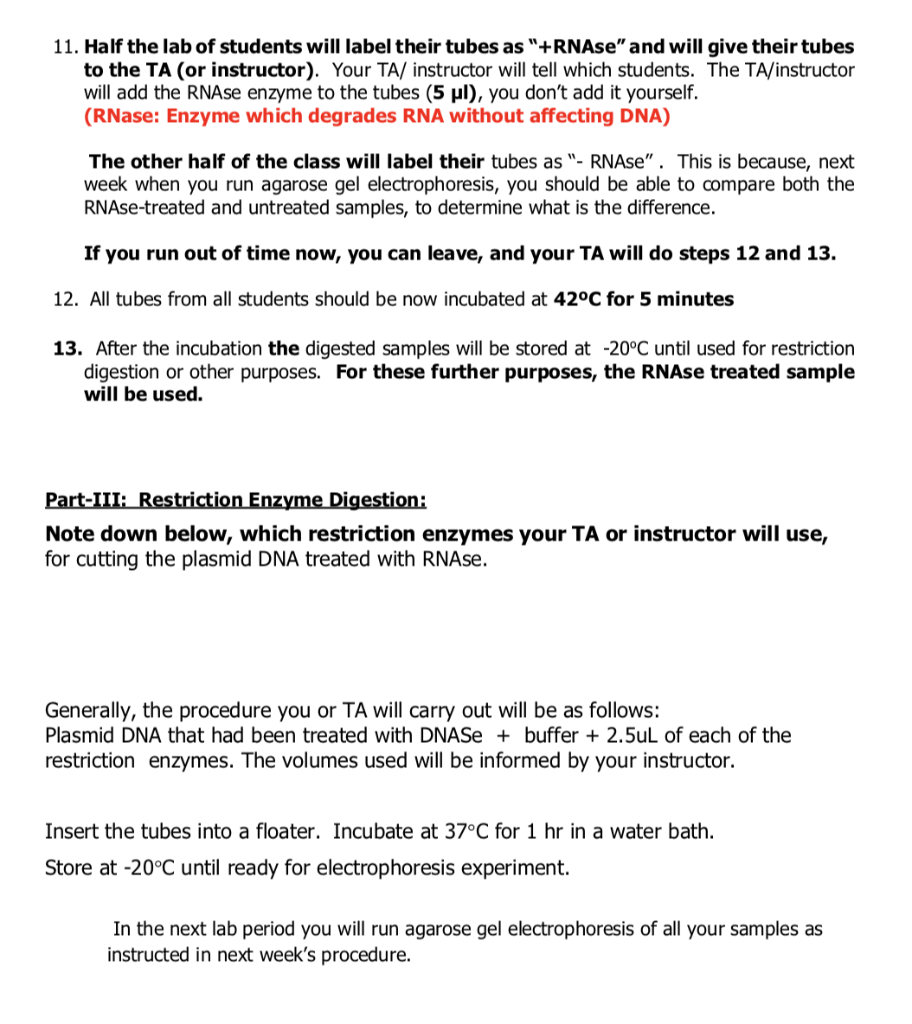 Solved Experimental Procedure Objectives: • Isolate DNA from | Chegg.com