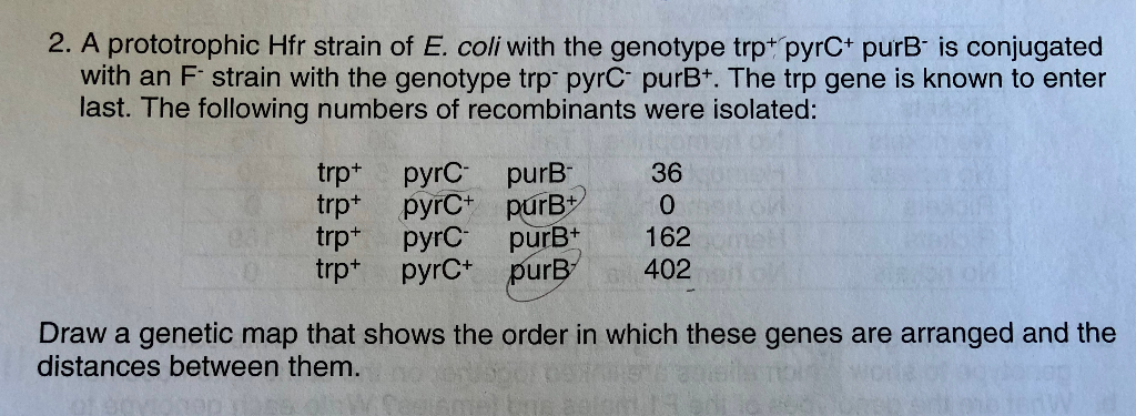 Solved 2. A prototrophic Hfr strain of E. coli with the | Chegg.com