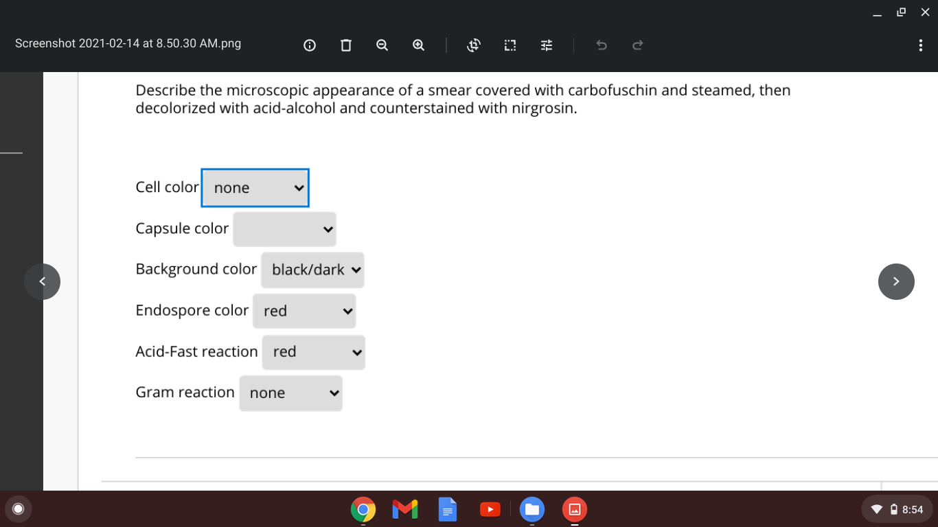 Solved Screenshot 2021-02-14 at 8.50.30 AM.png Describe the | Chegg.com