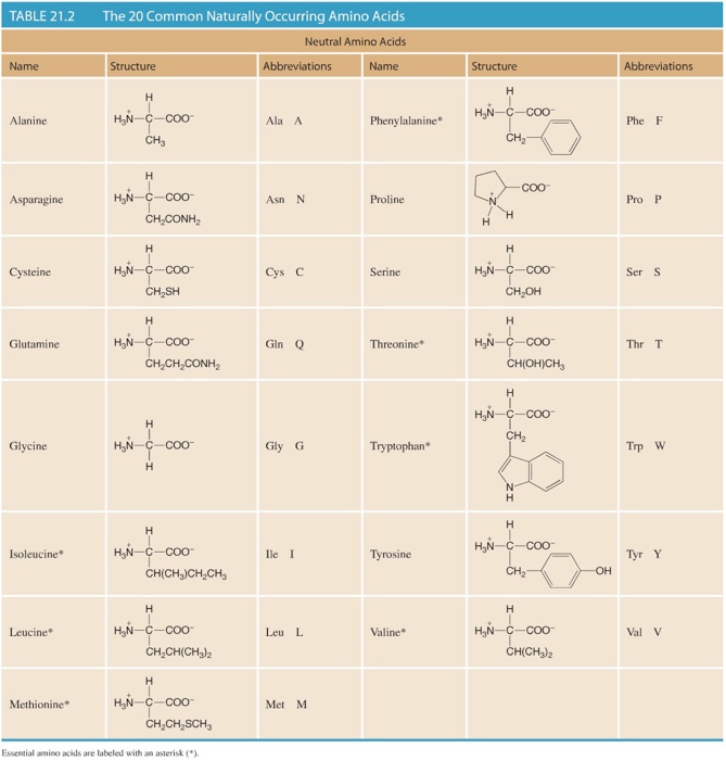 Solved rdi File Edit View History Bookmarks Window Help | Chegg.com