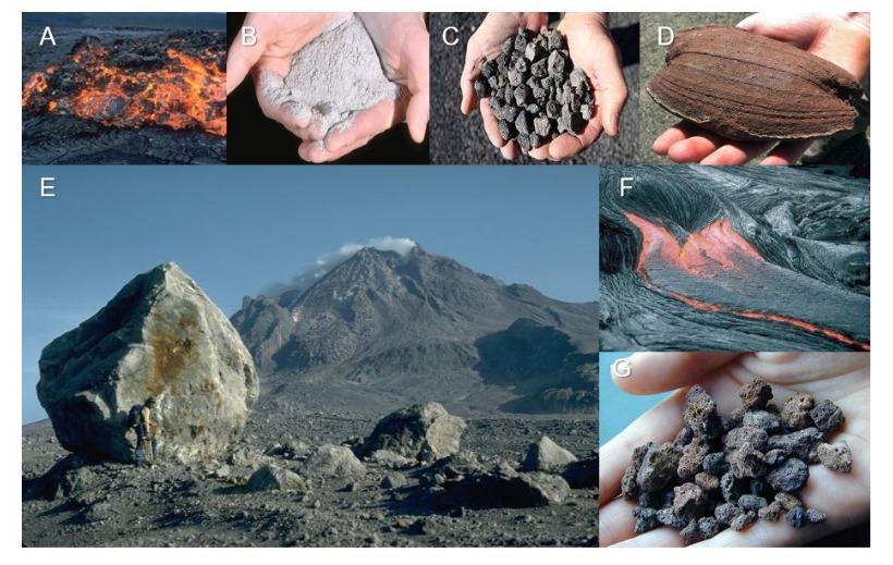 Solved Please help me label these rocks! The options are: | Chegg.com