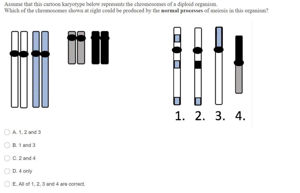 Solved Assume that this cartoon karyotype below represents | Chegg.com