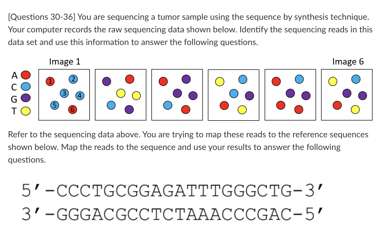 Solved 30. There are 4 unique sequences represented in this | Chegg.com