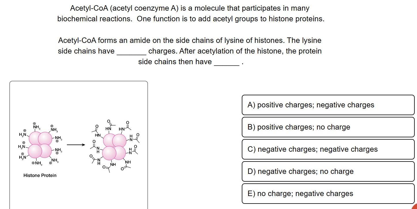 Solved Acetyl-CoA (acetyl coenzyme A) is a molecule that | Chegg.com