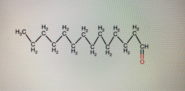 Sphingomyelin Structure