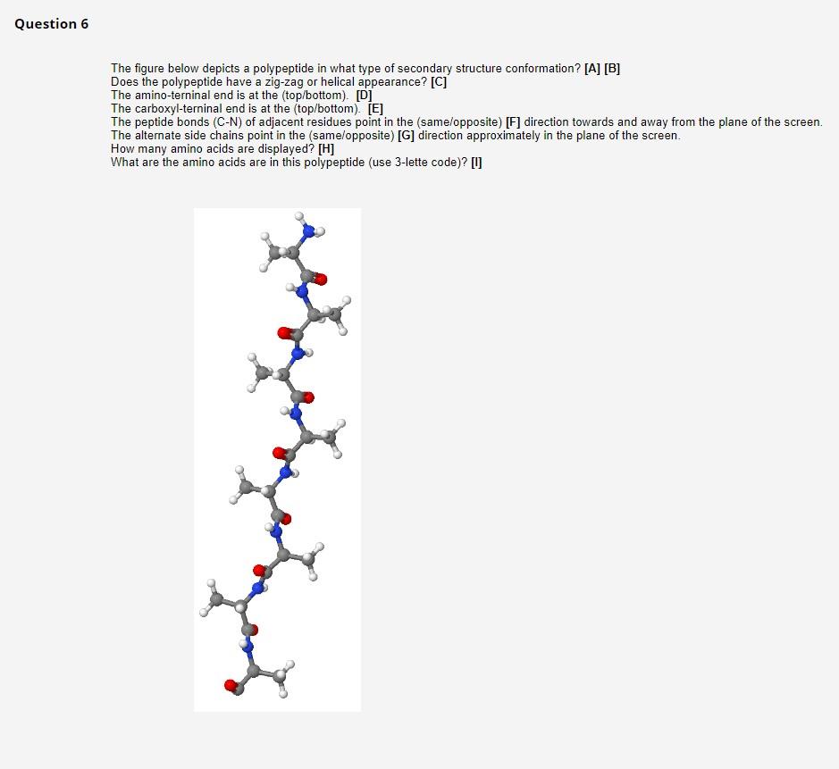 Solved The figure below depicts a polypeptide in what type | Chegg.com